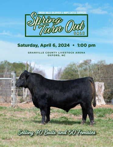 Green Hills Gelbvieh & Hope Cattle Services Spring Turn Out Sale ...