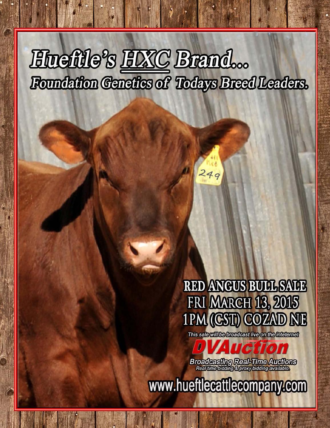 Hueftle Cattle Company - 2015 Red Angus Bull Sale - LivestockDirect