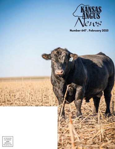 Kansas Angus News February 2025 - LivestockDirect