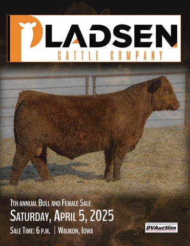Pladsen Cattle Company 7th Annual Bull & Female Sale - LivestockDirect